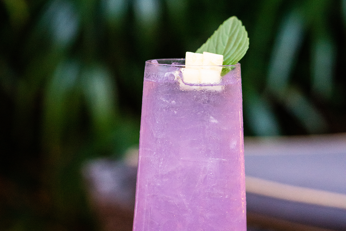 Fine Dining Koh Samui | Tree Tops Sky Dining & Bar | Gallery