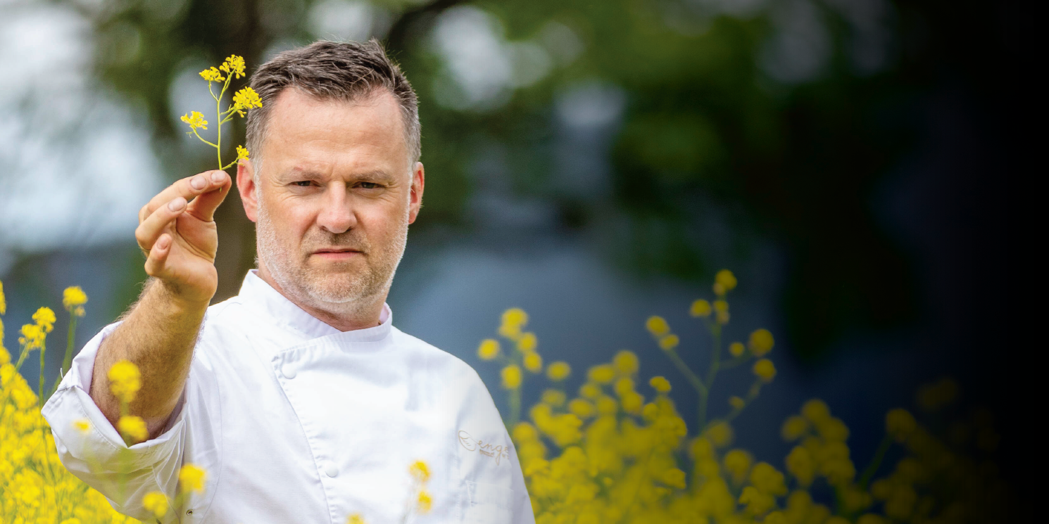 Chaweng Restaurants | Tree Tops Signature Dining Official Site