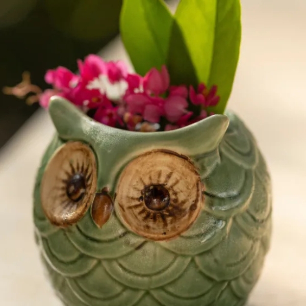 Best Restaurants in Chaweng | Tree Tops Restaurant Koh Samui | Menus